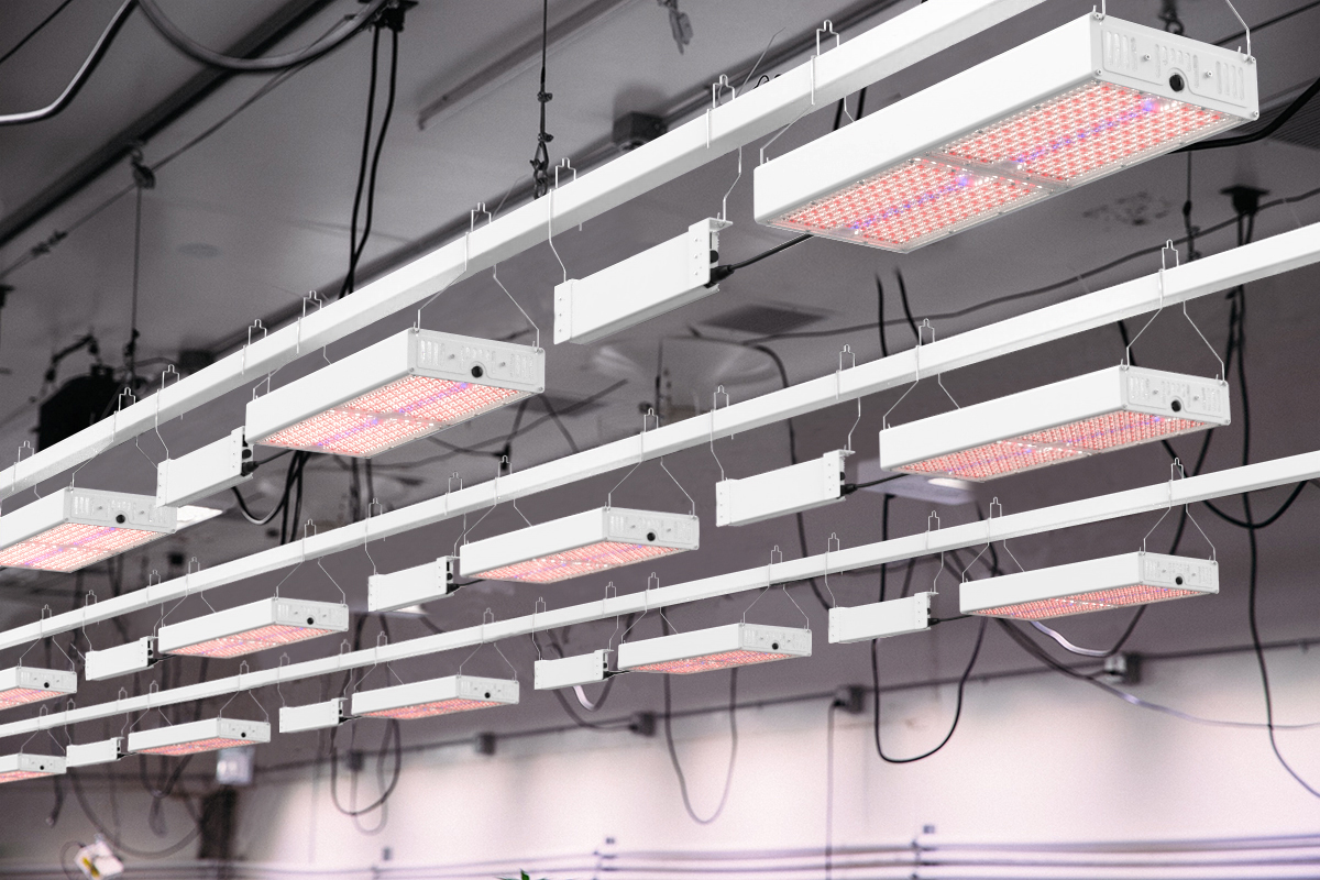 GARENA | Dimon Technology